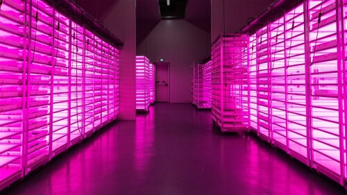 Bever Innovations: Iluminación LED inteligente